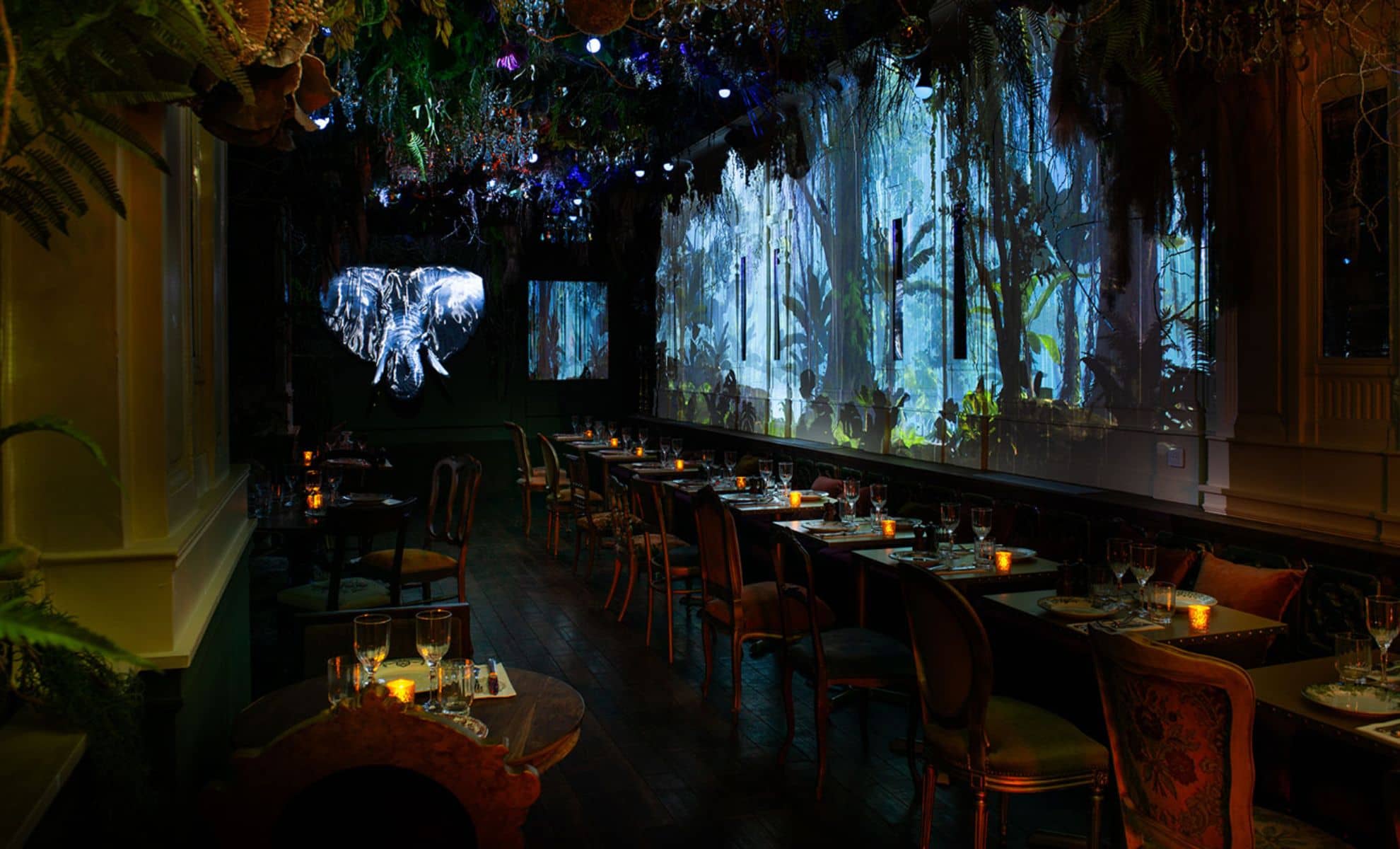 Découvrez le Jungle Palace : Le nouveau restaurant immersif d'Ephemera ...
