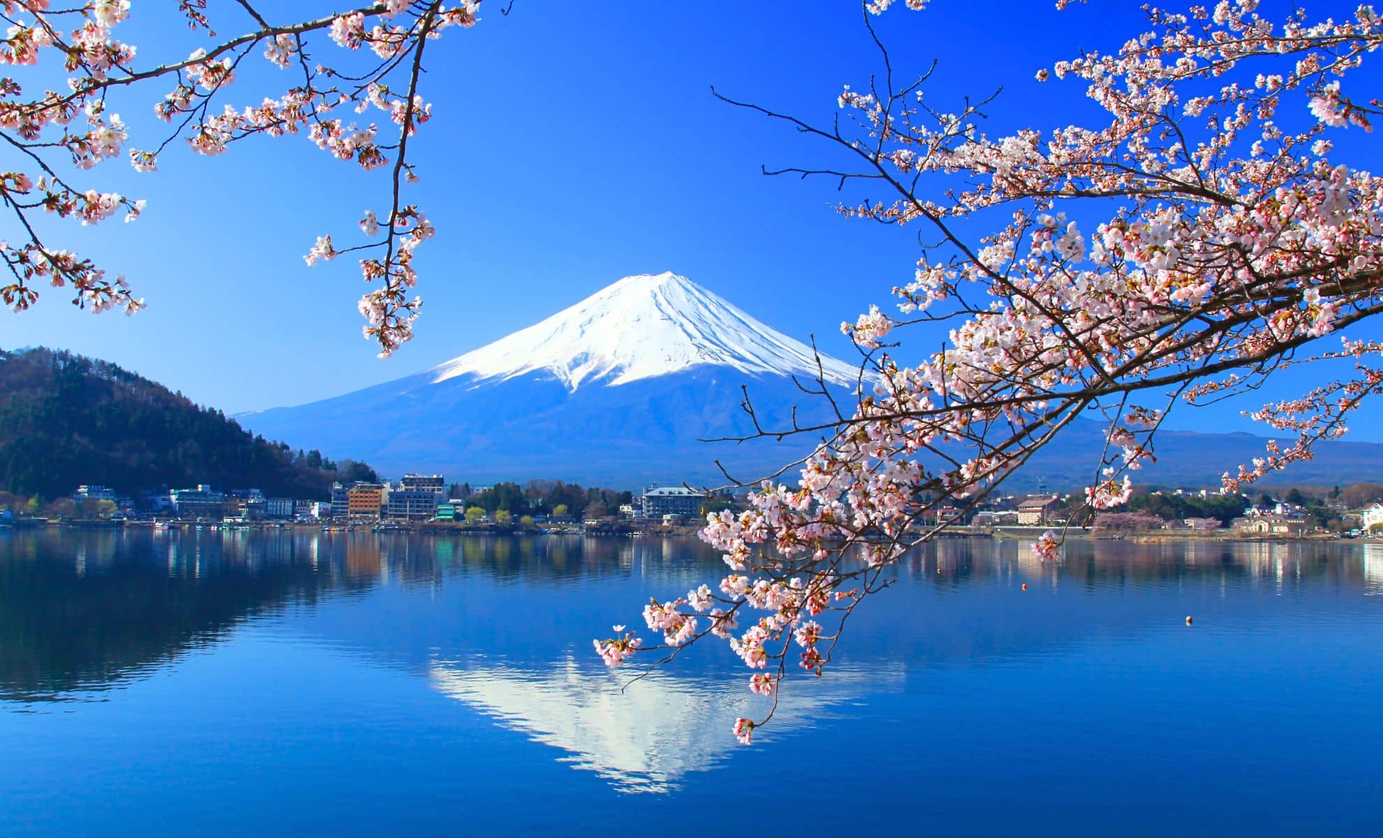 Mont Fuji : Instauration de nouvelles règles pour les touristes en 2024