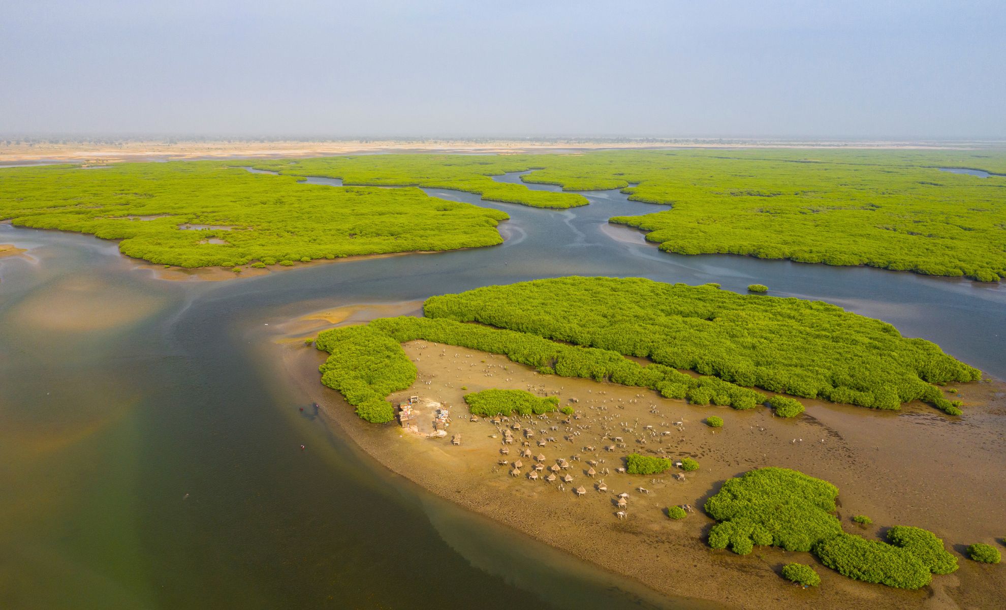 Découverte du Sénégal, de l'Île de Gorée au Delta du Saloum
