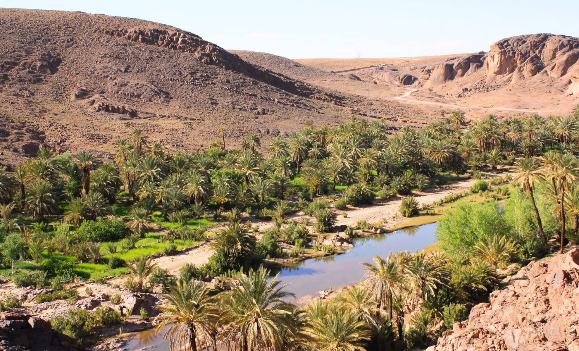 Voyage au cœur des plus belles oasis du désert marocain