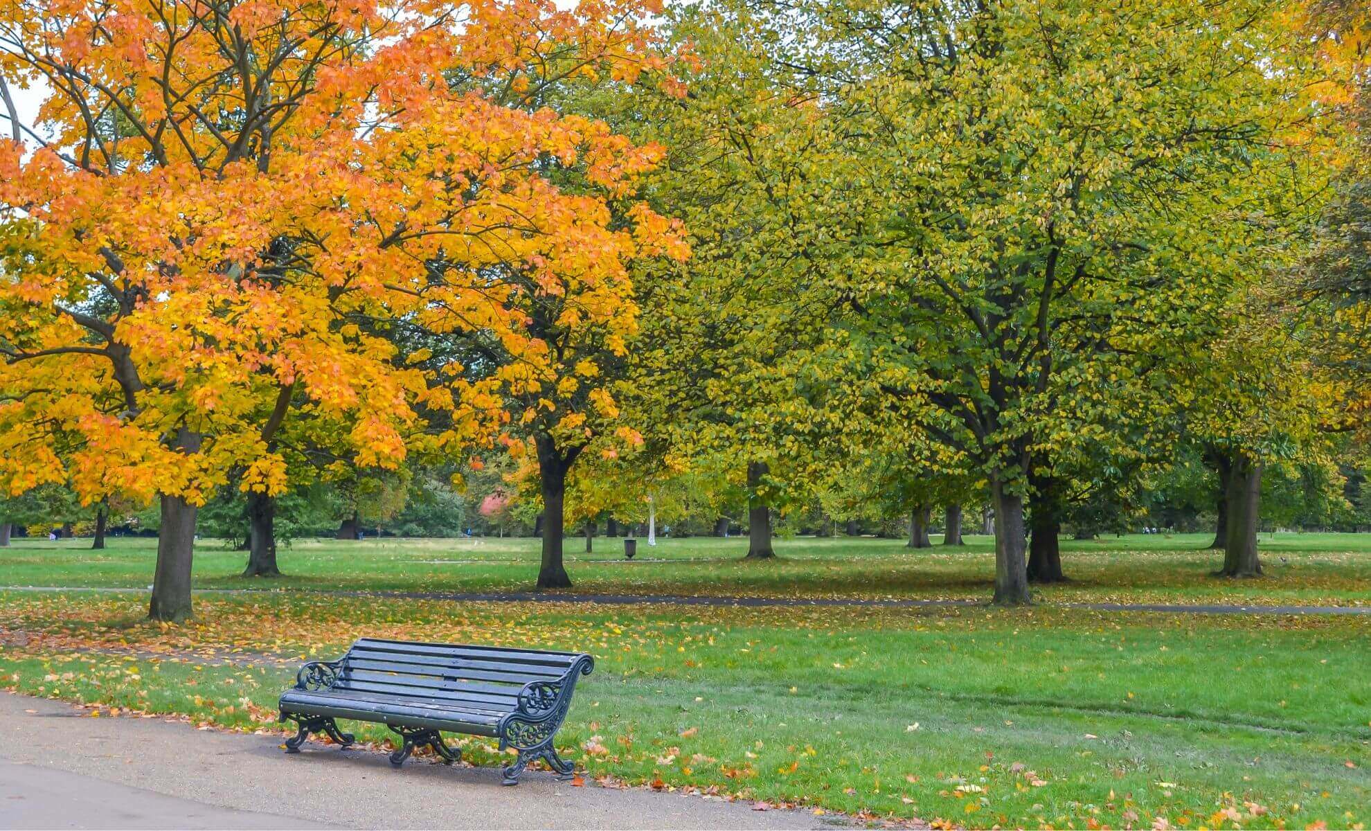 Promenade au cœur des parcs incontournables de Londres
